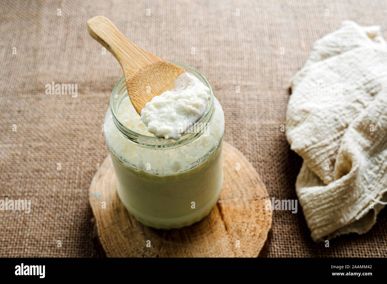Milk kefir prepared at home, process of separating the grains from the ...