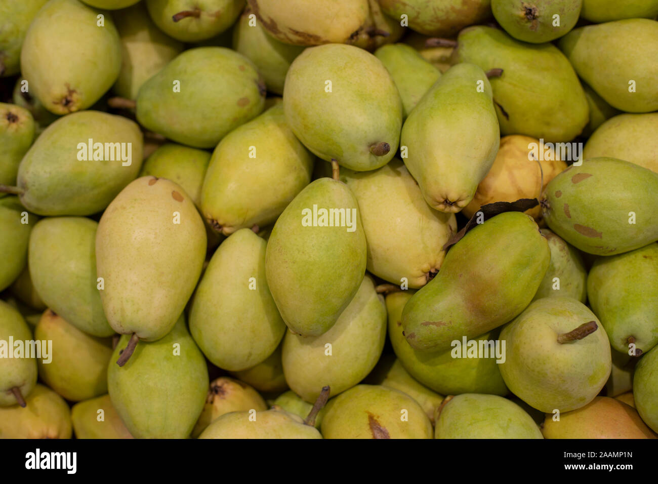Bartlett pears in a supermarket. A bunch of green ripe fresh pear ...