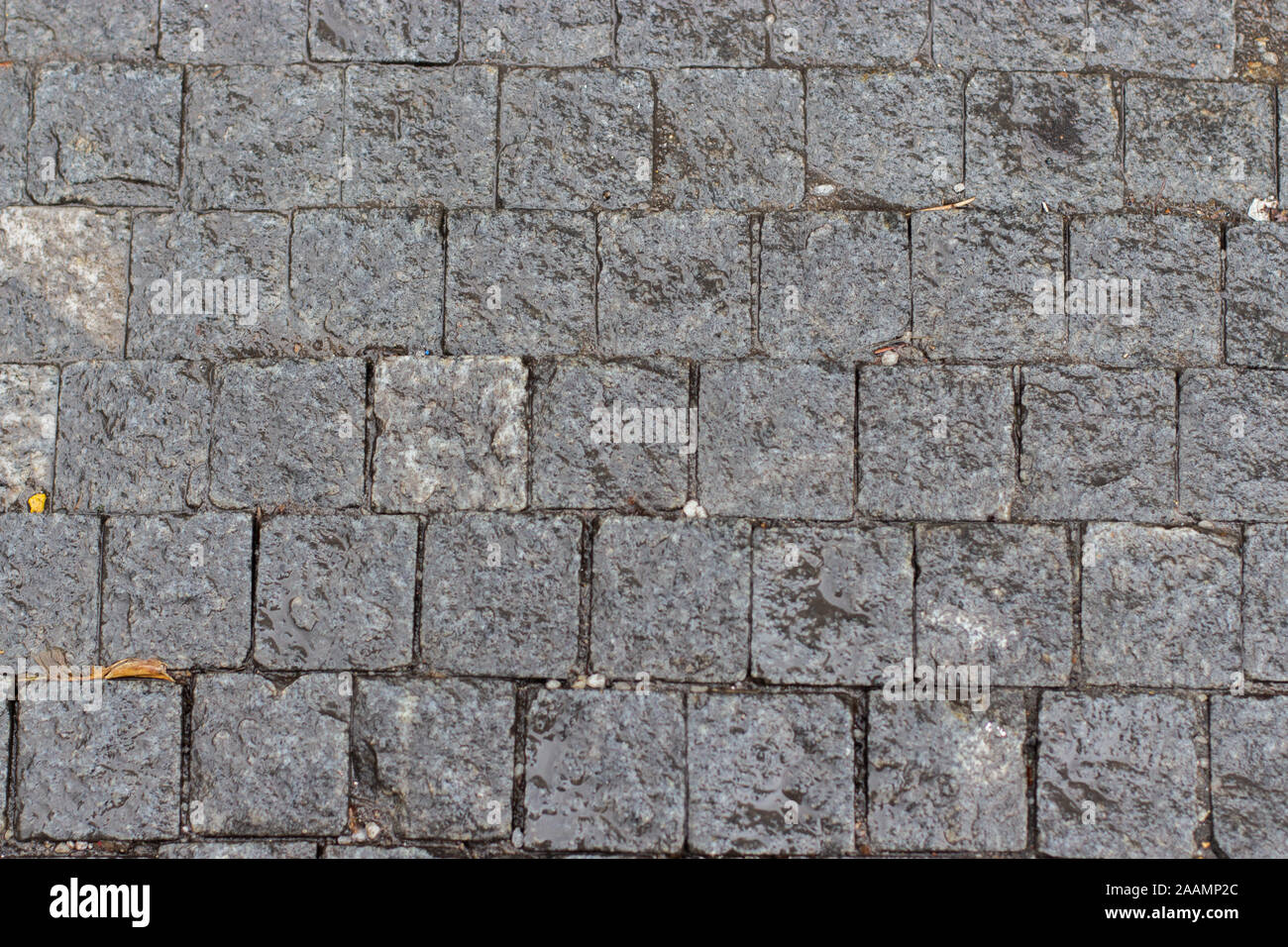 The textured surface of the sidewalk, square smooth gray stones, paving ...