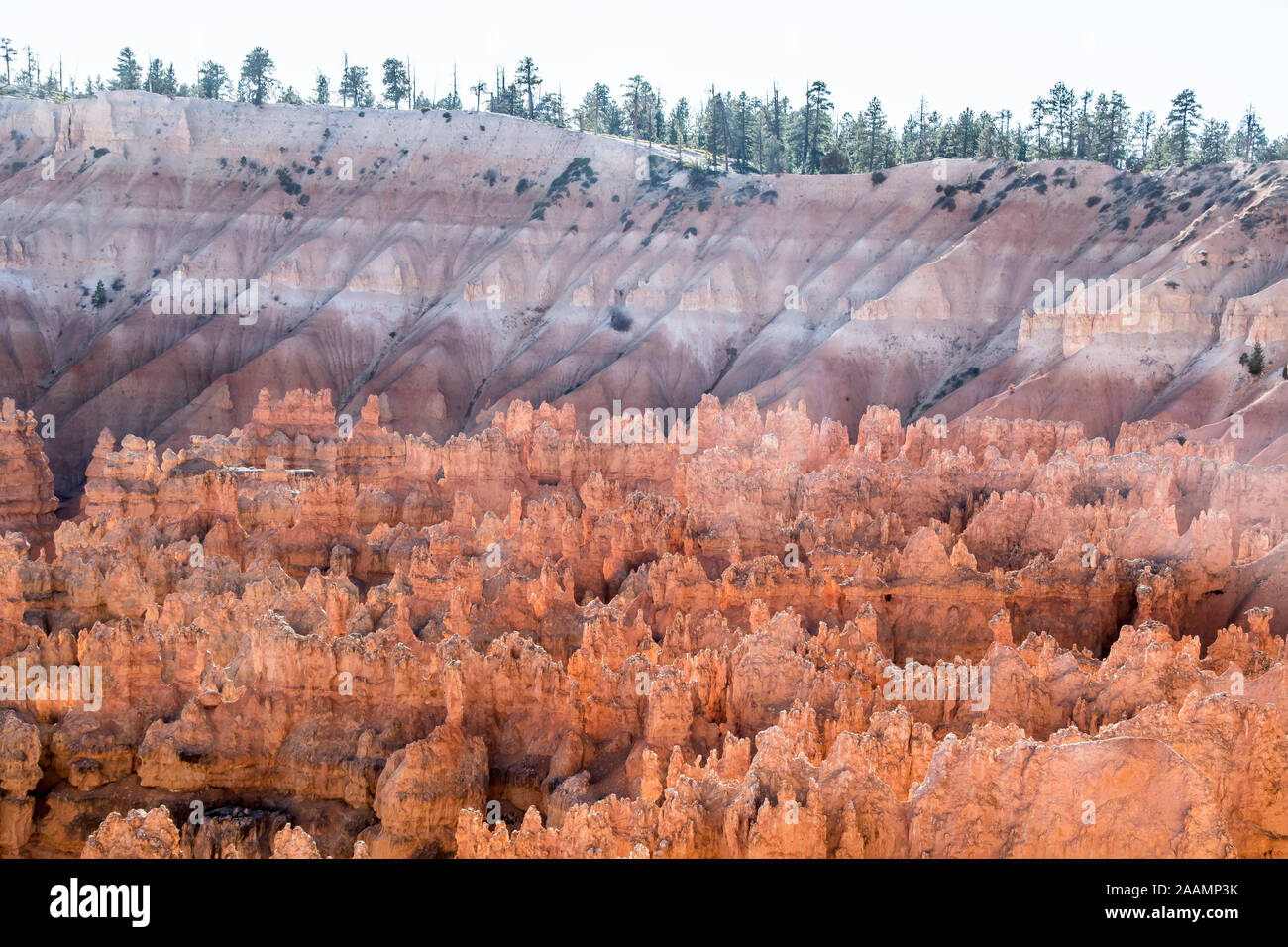 Stock Photo - Bryce Canyon National Park, Bryce, Utah, United States ...
