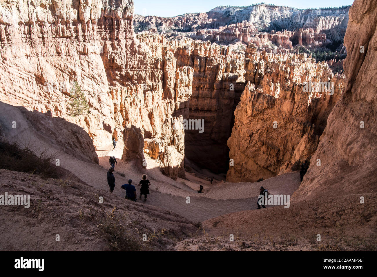Stock Photo - Bryce Canyon National Park, Bryce, Utah, United States ...