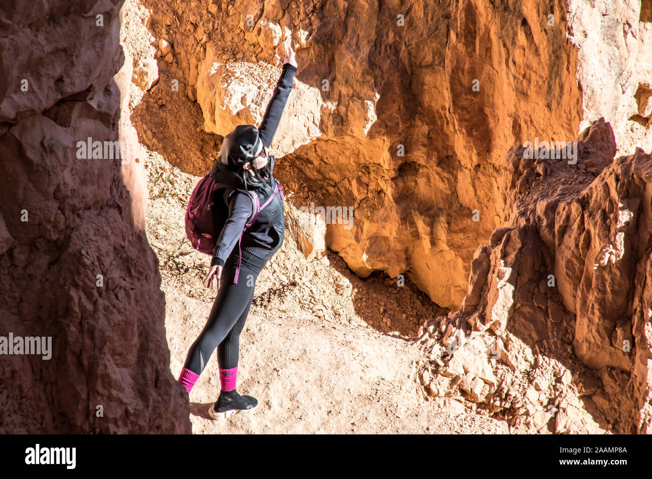 Stock Photo - Bryce Canyon National Park, Bryce, Utah, United States ...