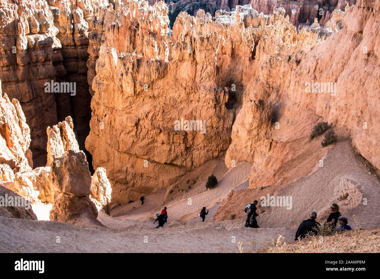 Stock Photo - Bryce Canyon National Park, Bryce, Utah, United States ...