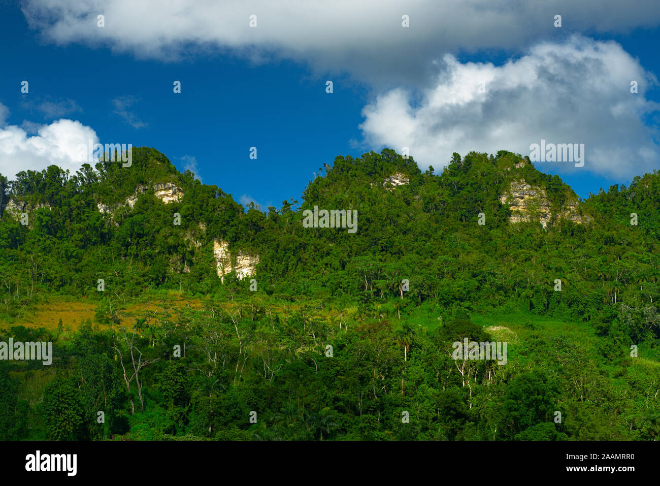 Puerto rico utuado hi-res stock photography and images - Alamy