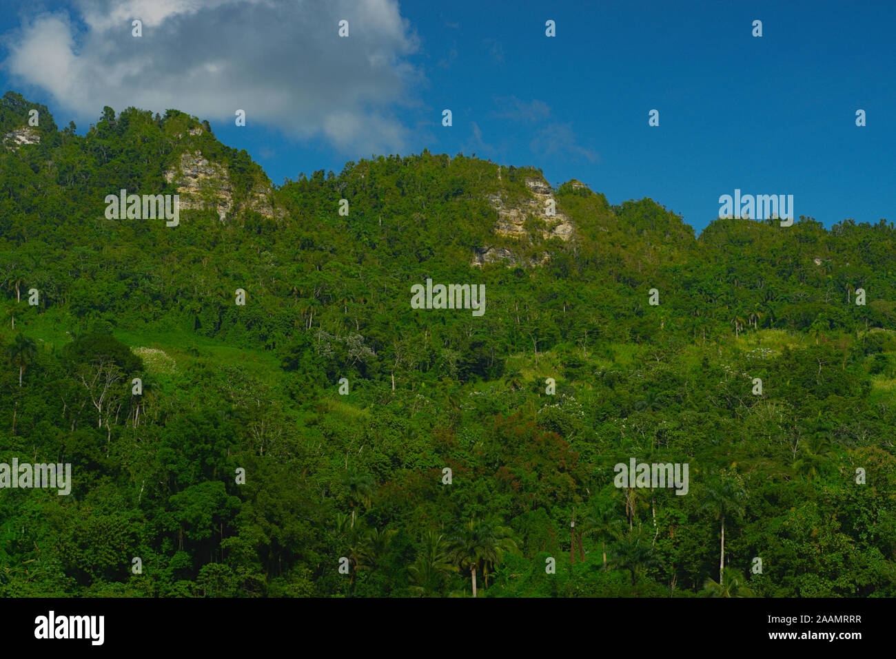 Utuado hi-res stock photography and images - Alamy