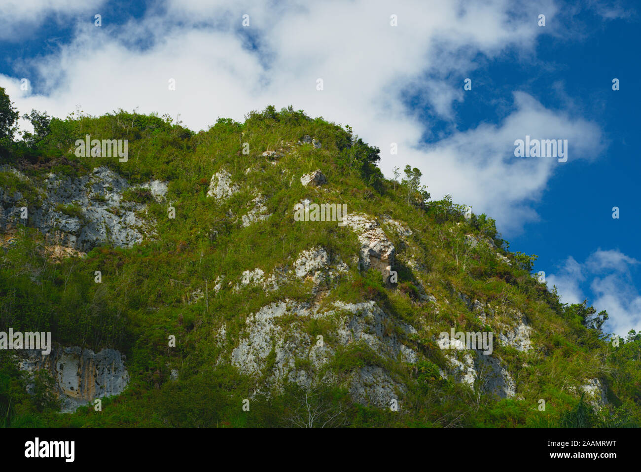 Utuado Puerto Rico Stock Photos & Utuado Puerto Rico Stock Images - Alamy