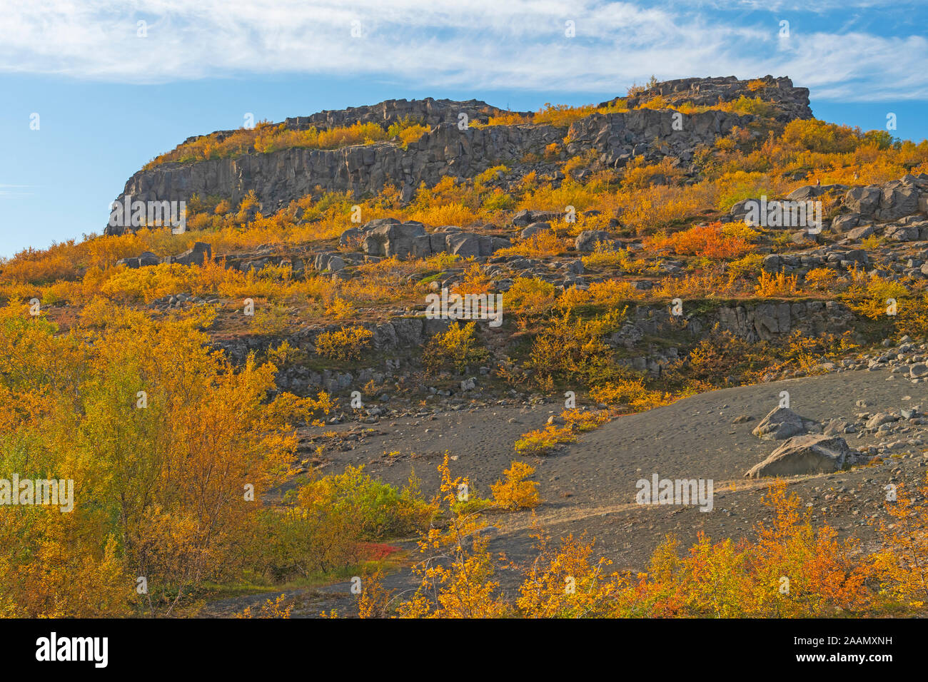 Fall Colors Covering a Volcanic Cliff in Hljodaklettar National Park in ...