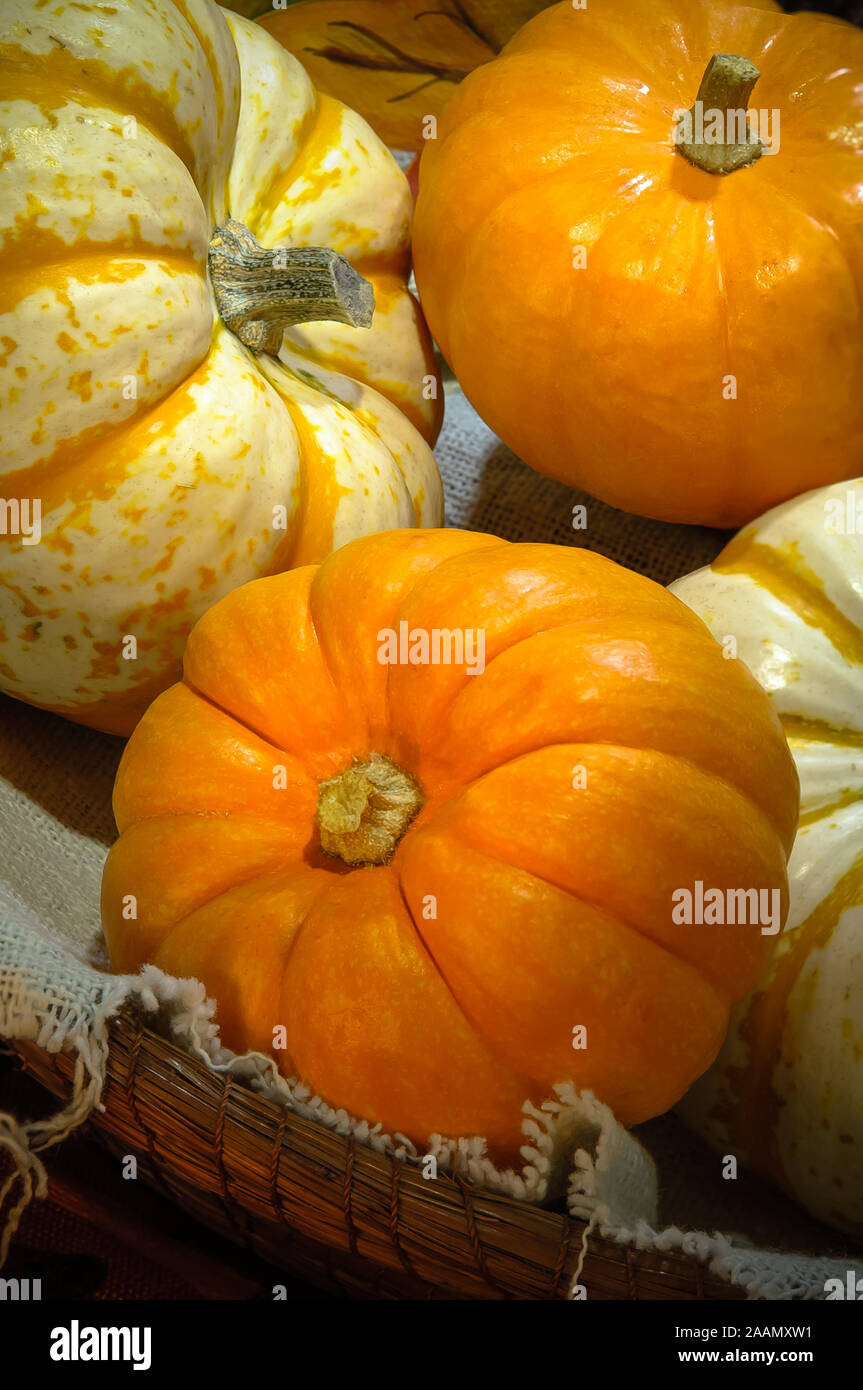 Harvest thanks feast hi-res stock photography and images - Alamy