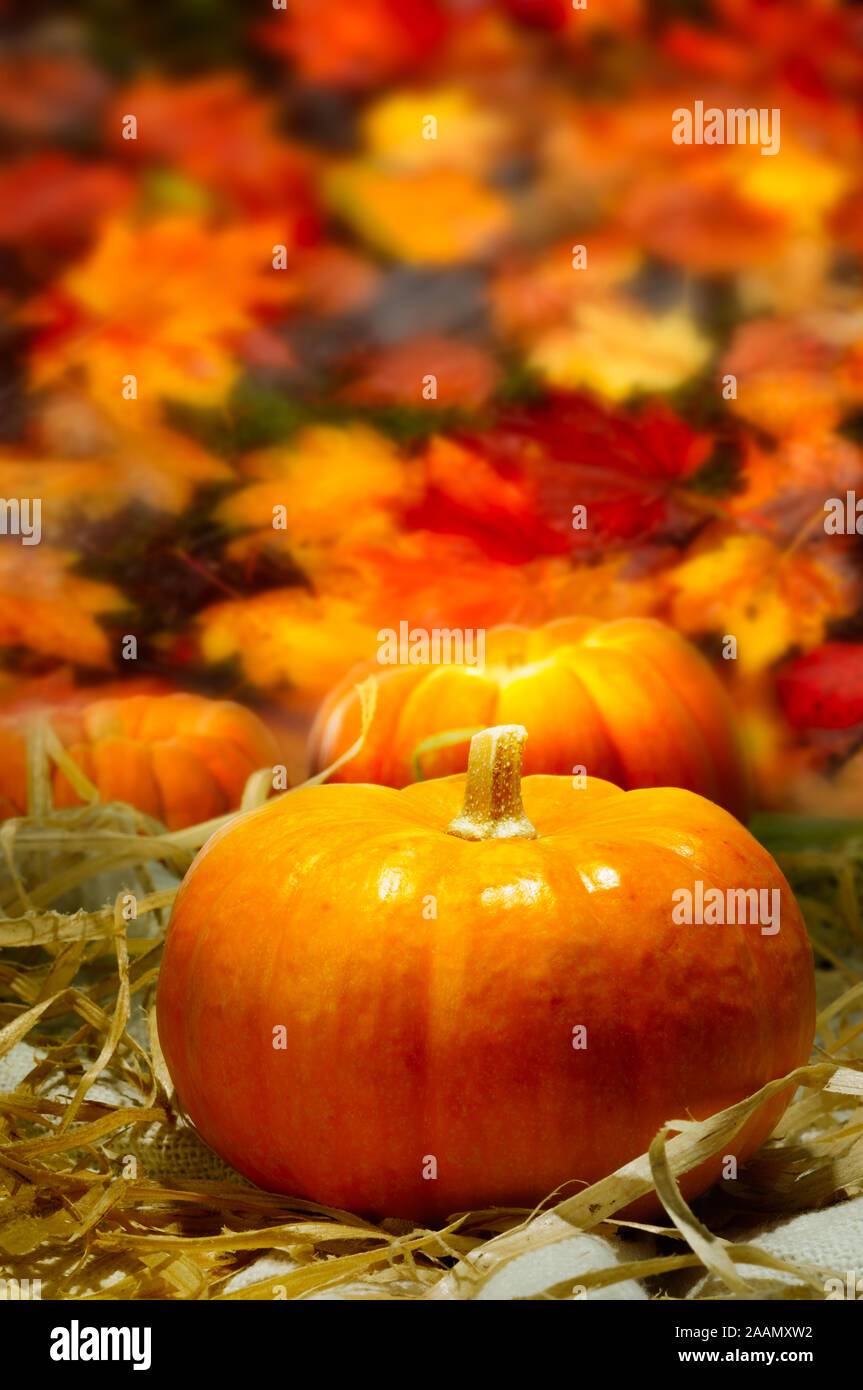 Grateful thankful blessed hi-res stock photography and images - Alamy