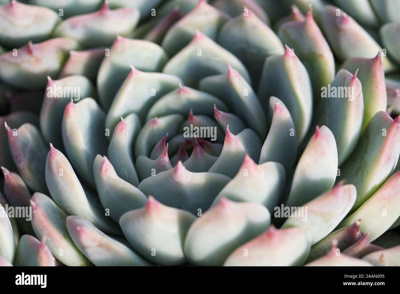 Tippy hi-res stock photography and images - Alamy