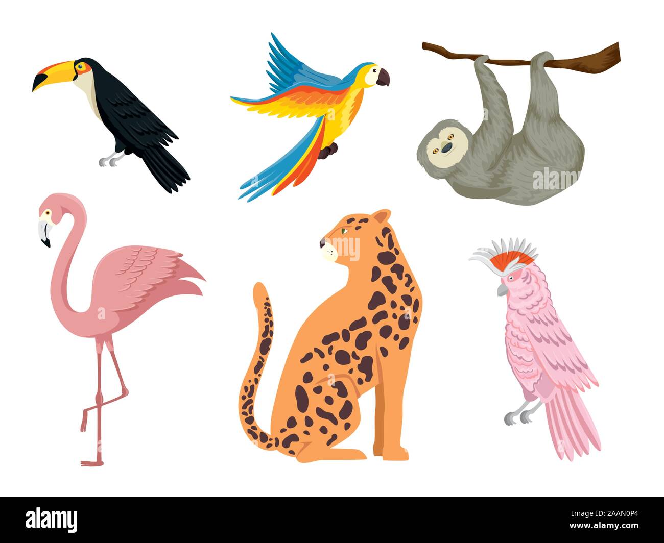set of group animals exotics Stock Vector Image & Art - Alamy