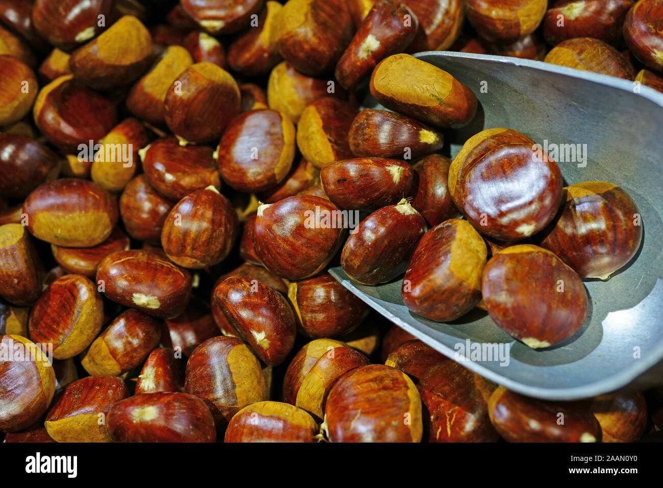 Fresh chestnuts in the shell at a farmers market Stock Photo - Alamy