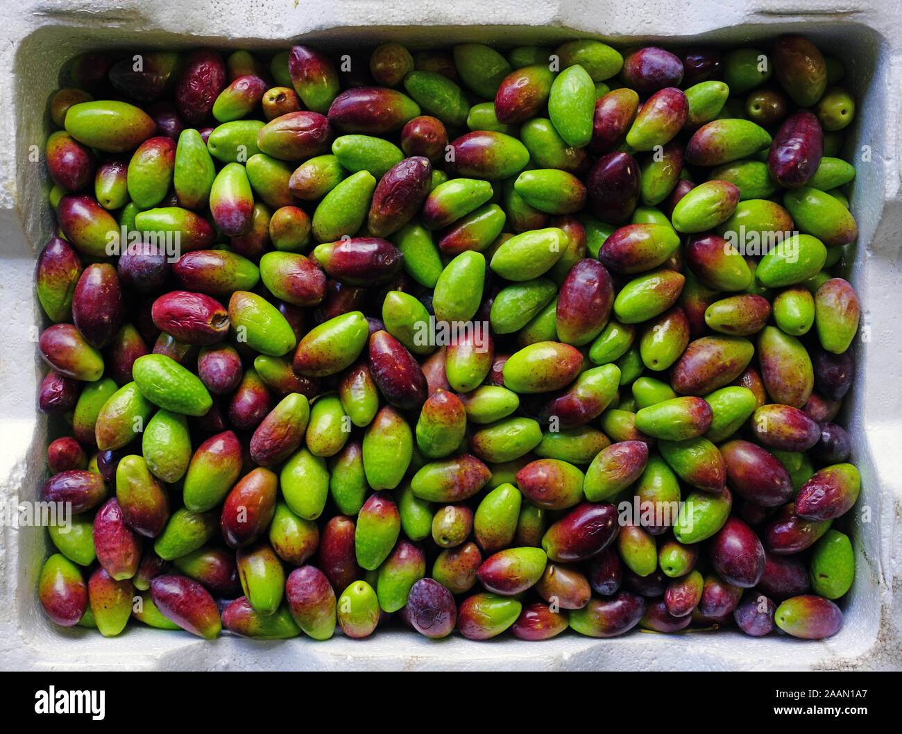 Australian olives hi-res stock photography and images - Alamy