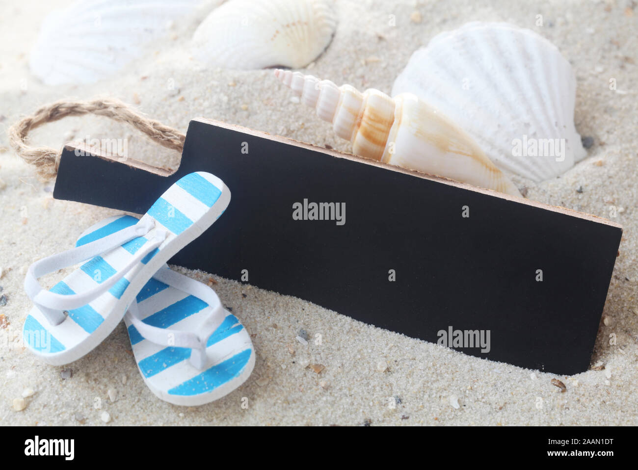 Maritime Still Life With a Blank Tag On Sand Stock Photo - Alamy