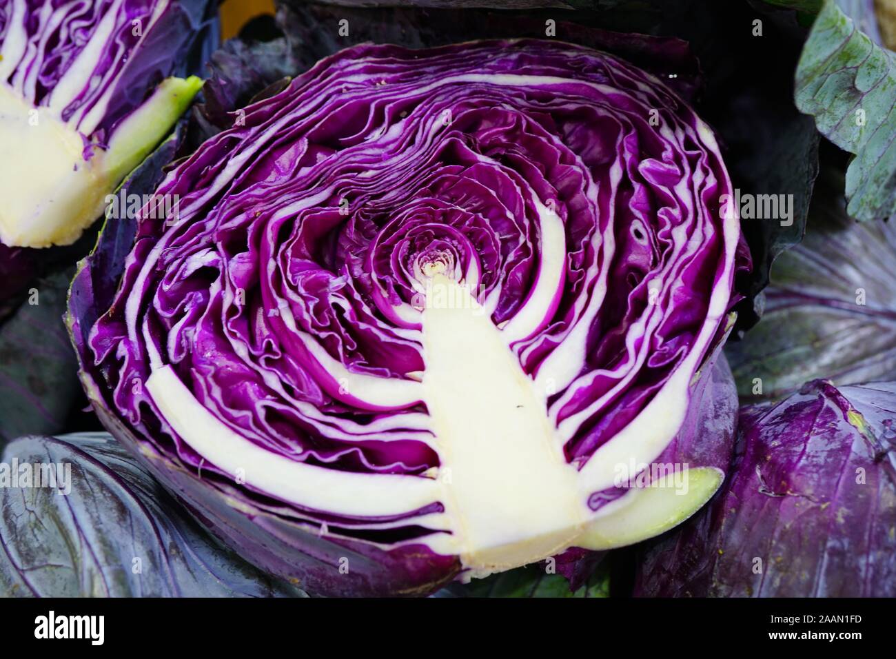 Red cabbage cut in half at a farmers market Stock Photo - Alamy