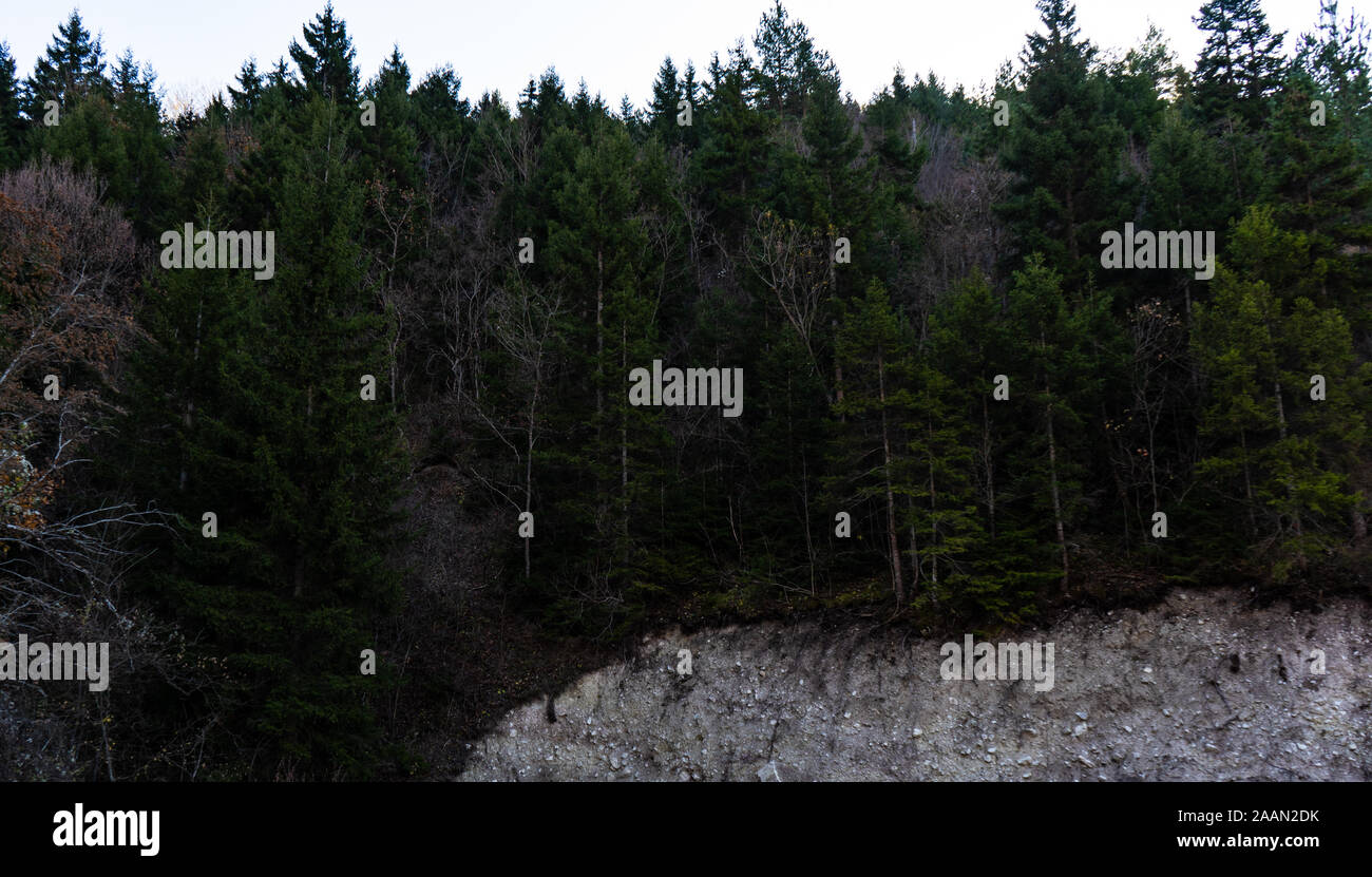 Mountain landscape with fir, pine and thuja trees on a slope Stock ...