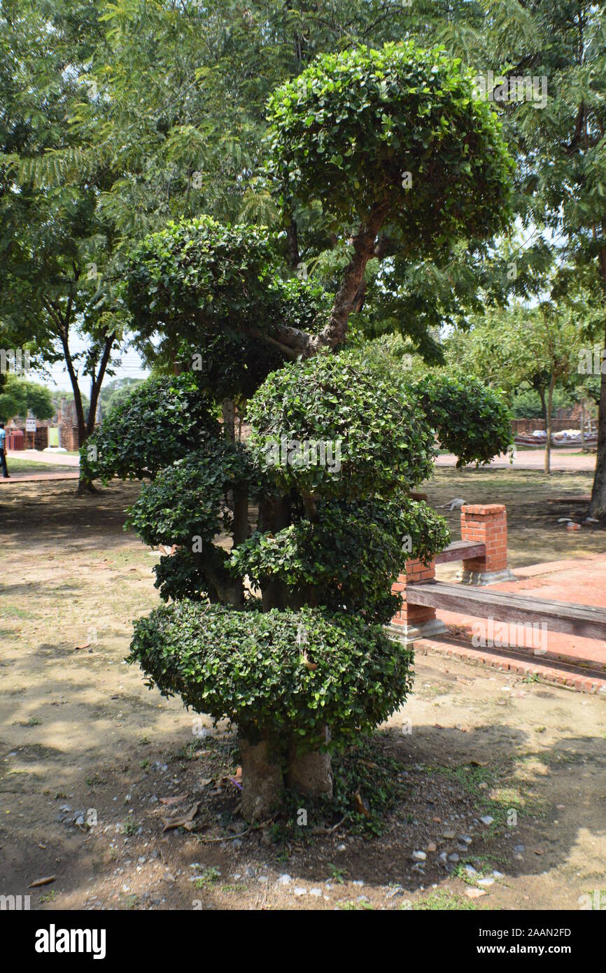 King Rama 1 Statue Ayutthaya Stock Photo - Alamy