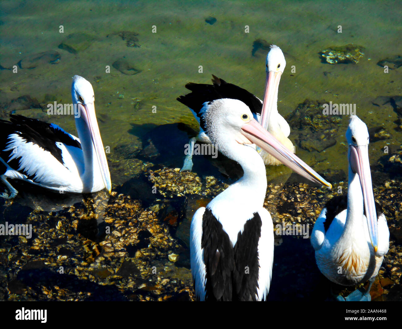 Cudgen creek hi-res stock photography and images - Alamy