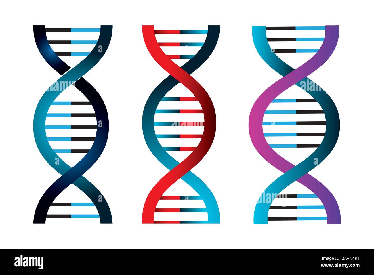 Deoxyribonucleic acid illustration Stock Vector Images - Alamy