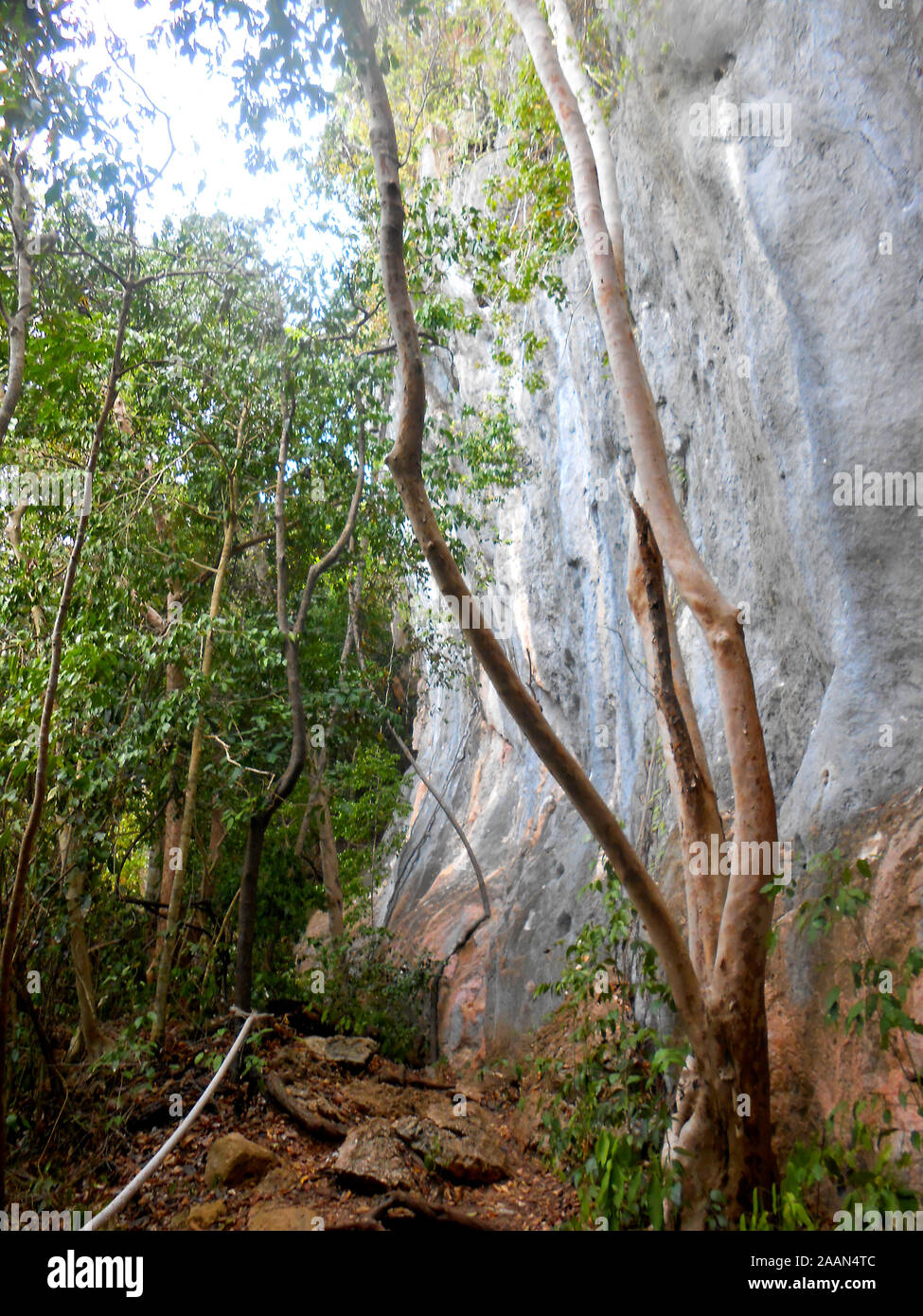 The trek and climb to Bua Boke Cave at Ko Wua Ta Lap Island Ang Thong ...