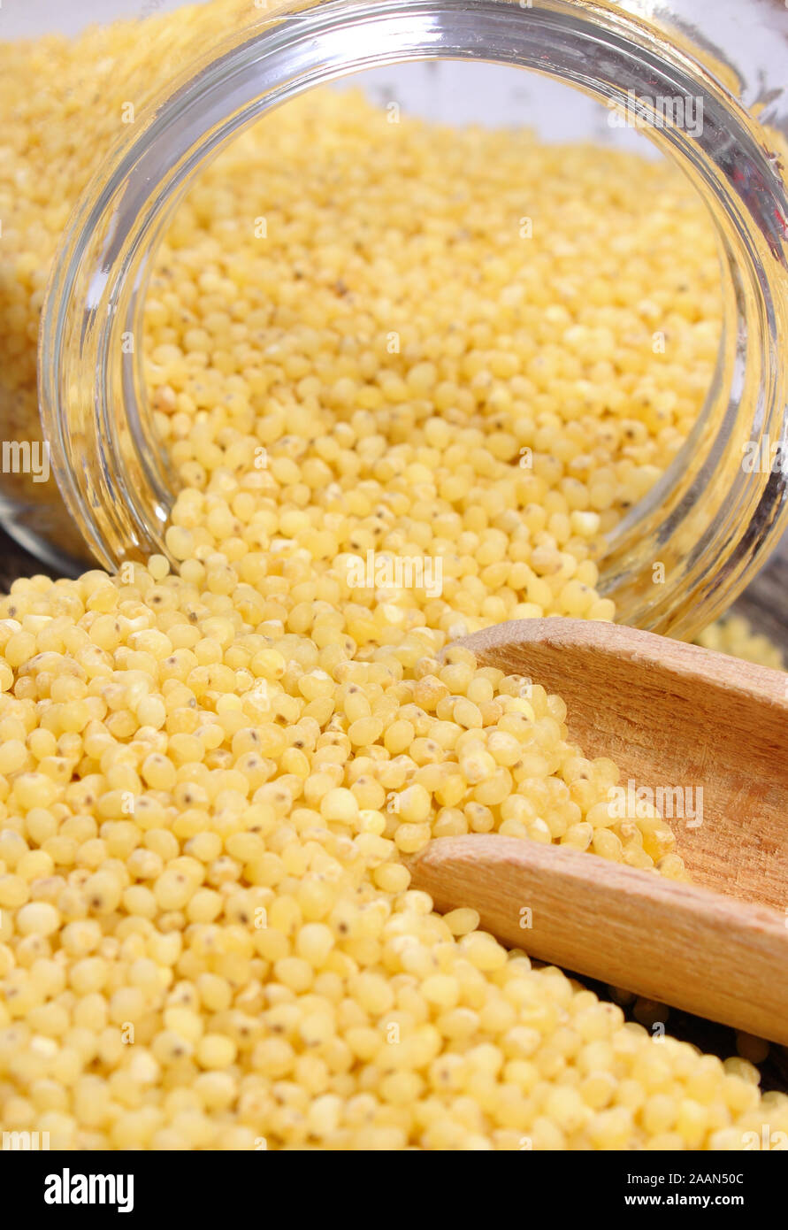 Millet groats containing natural minerals and dietary fiber. Wooden ...