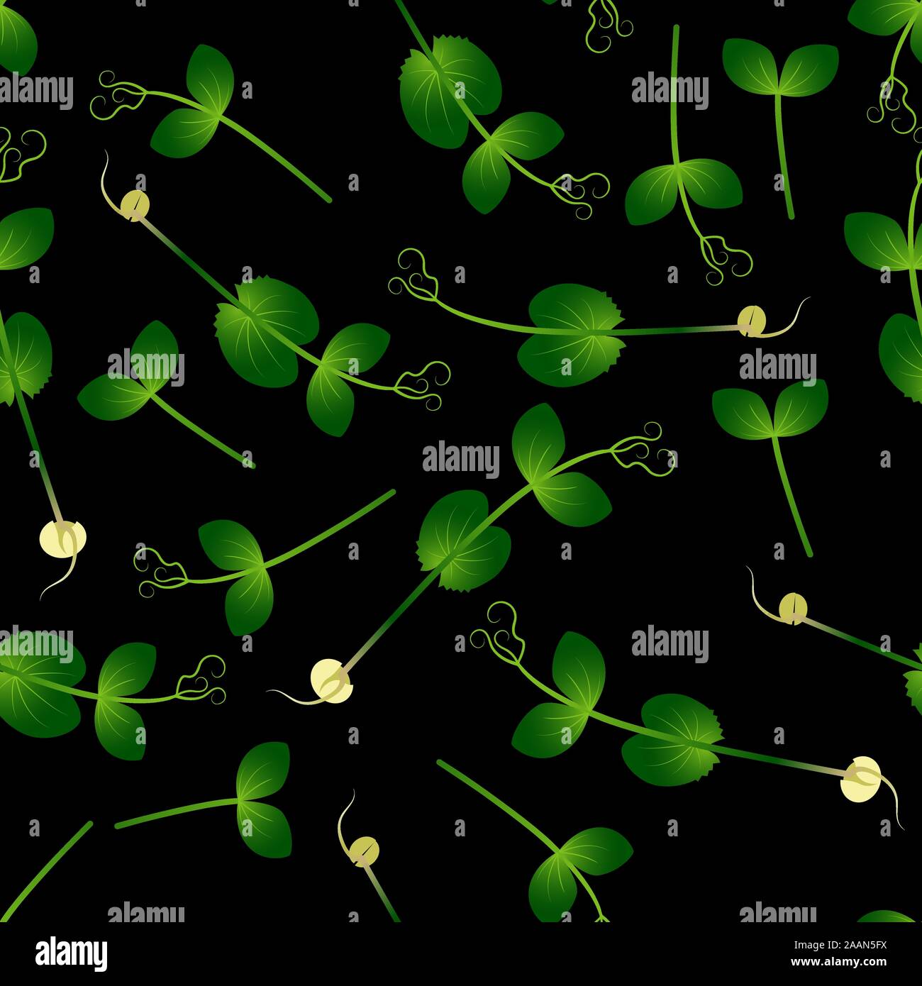 Microgreens Pea. Sprouting seeds of a plant. Seamless pattern. Vitamin ...