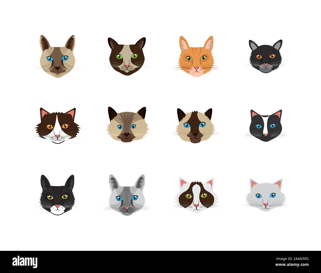 bundle faces of cats feline animals icons Stock Vector Image & Art - Alamy