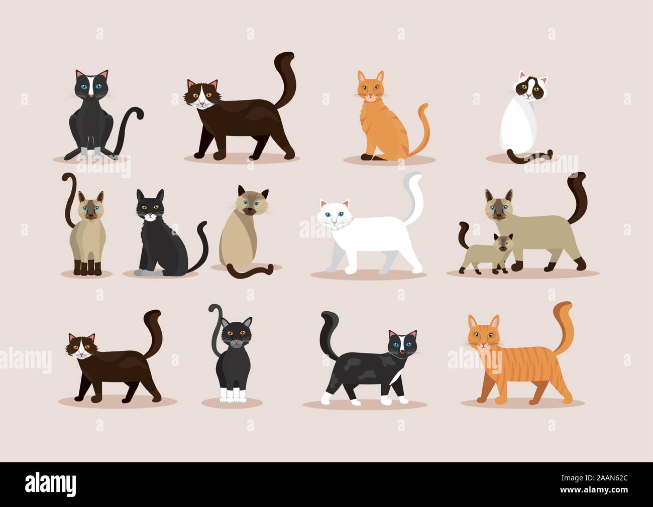 bundle of cats feline animals icons Stock Vector Image & Art - Alamy