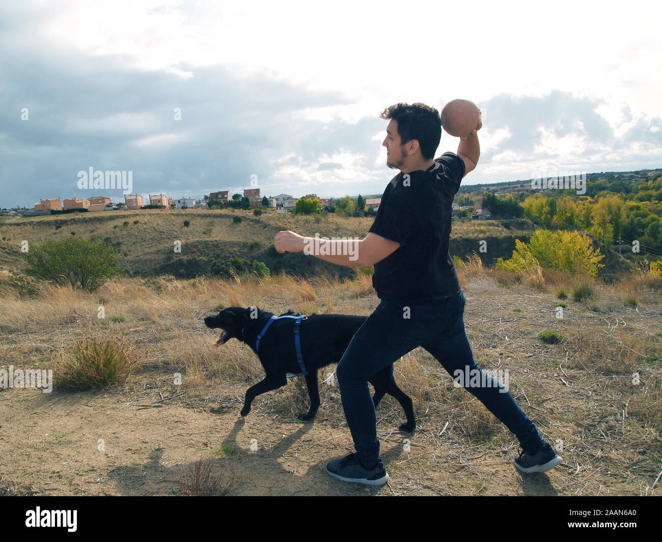 Latin young man throwing a ball to a black labrador dog, Madrid Spain ...