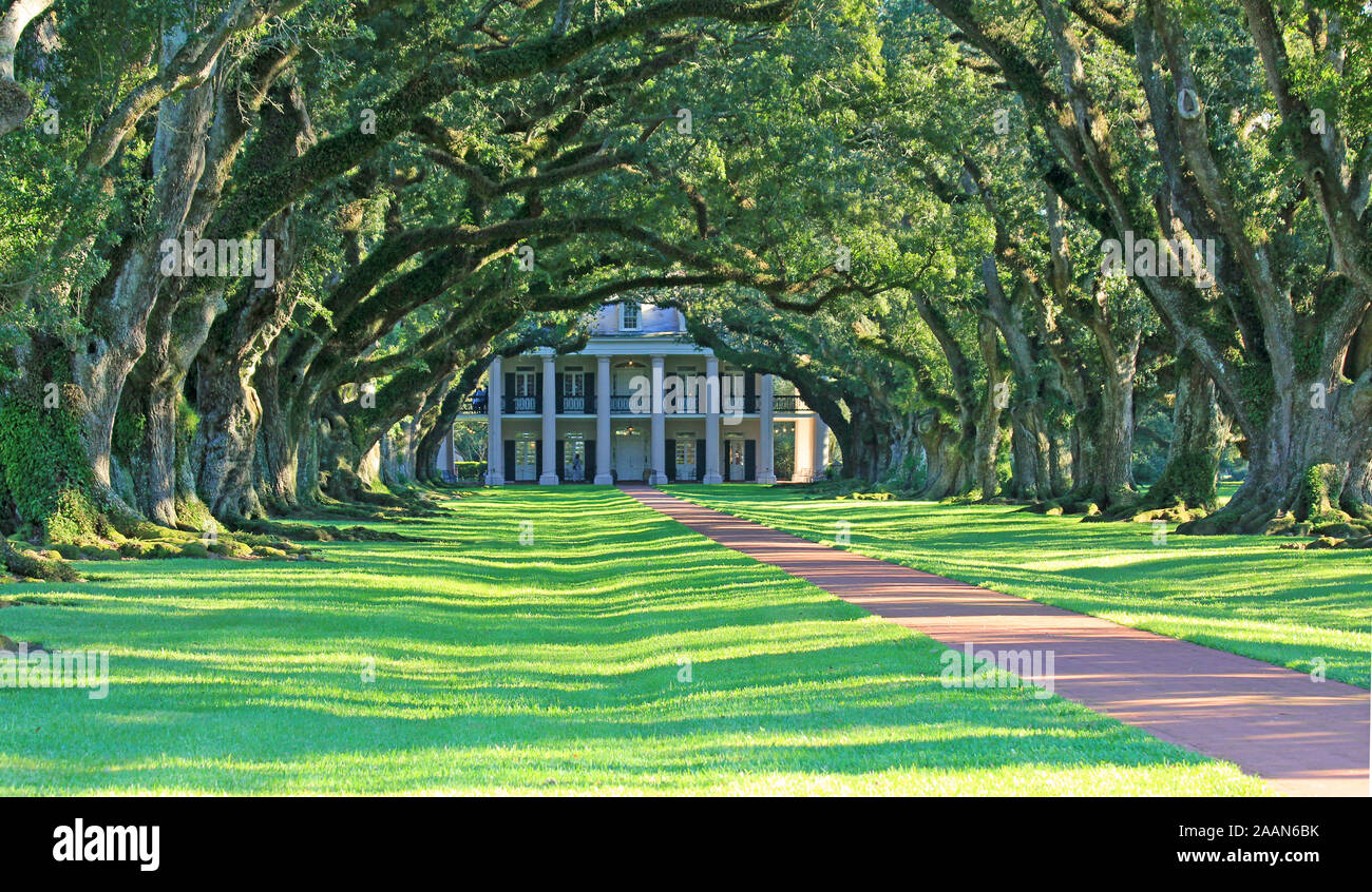 Oak Alley plantation, left side, Louisiana Stock Photo - Alamy
