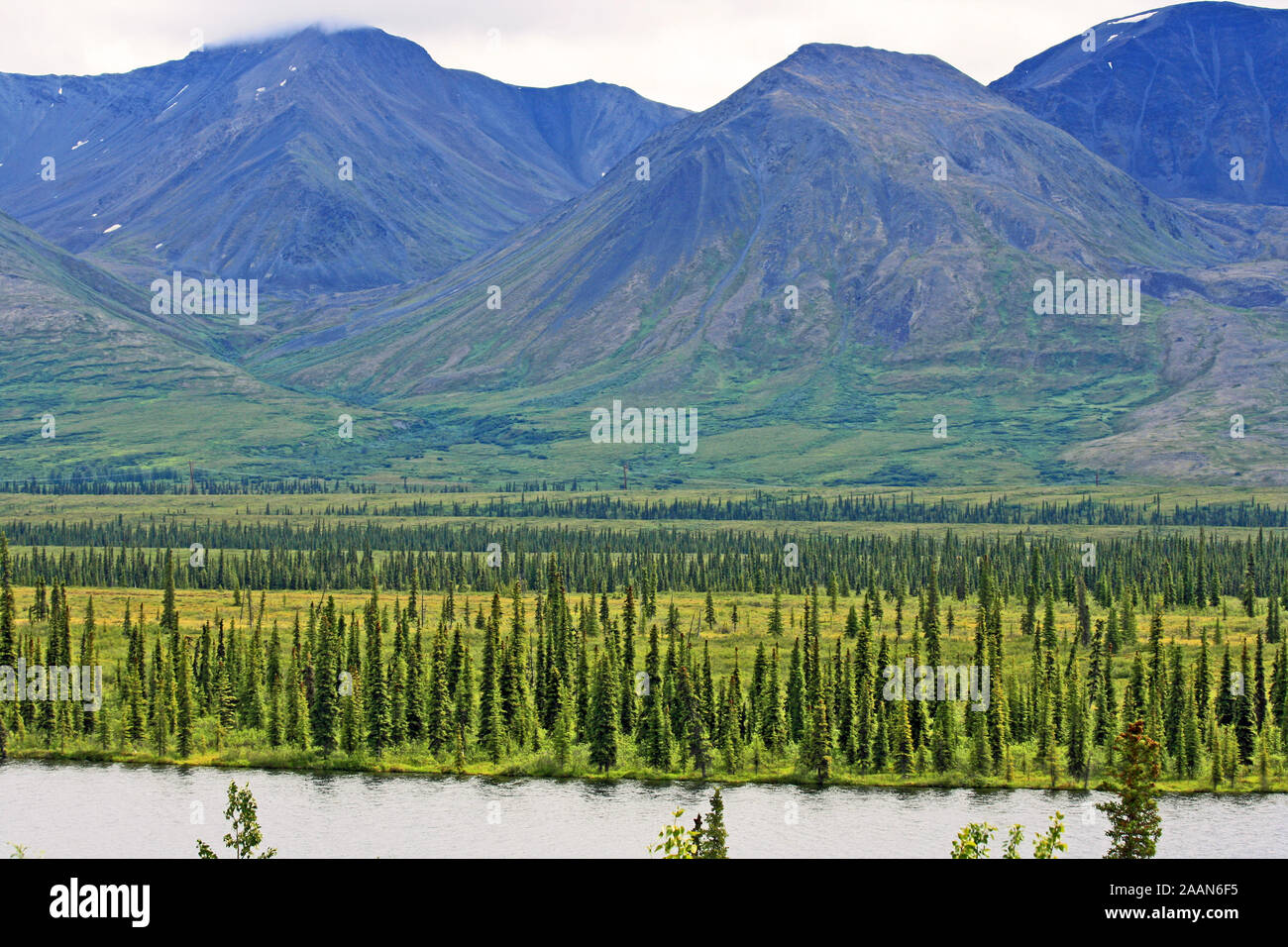 Tundra landscape alaska hi-res stock photography and images - Alamy