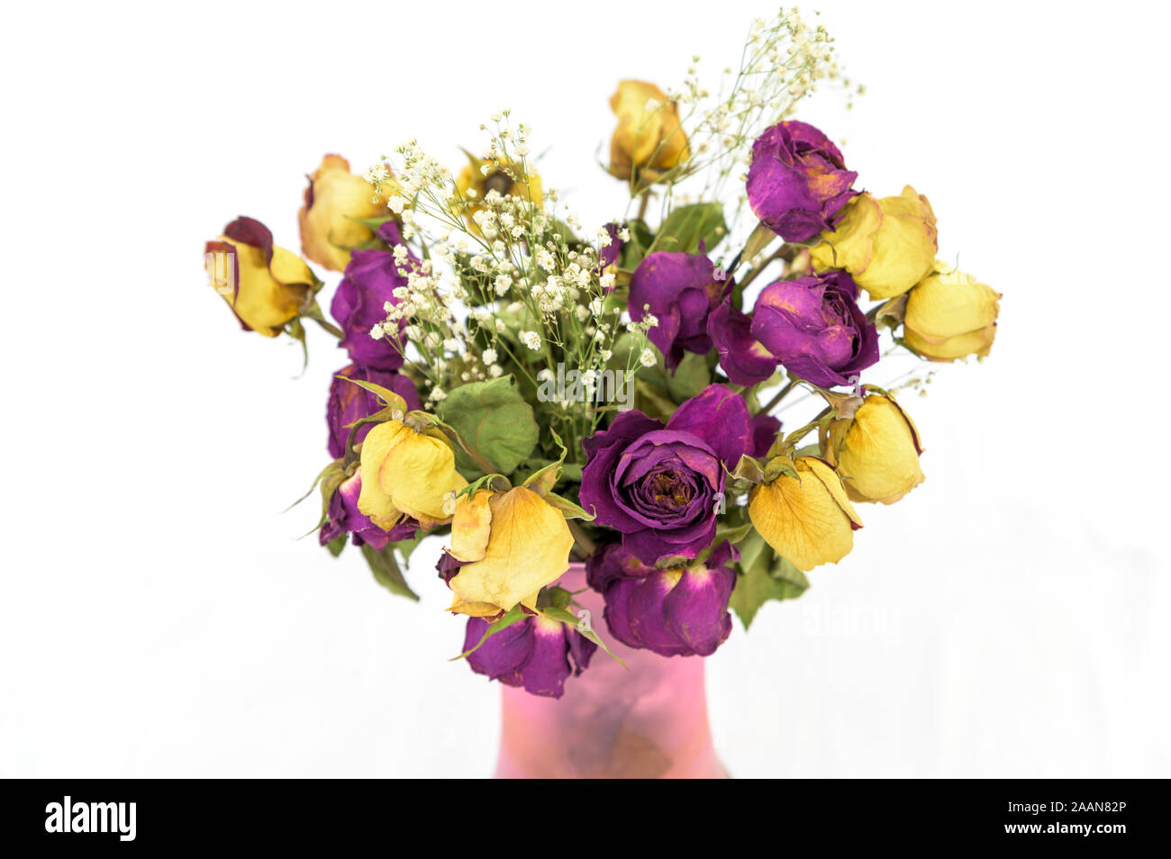 Wither flower in a vase hi-res stock photography and images - Alamy