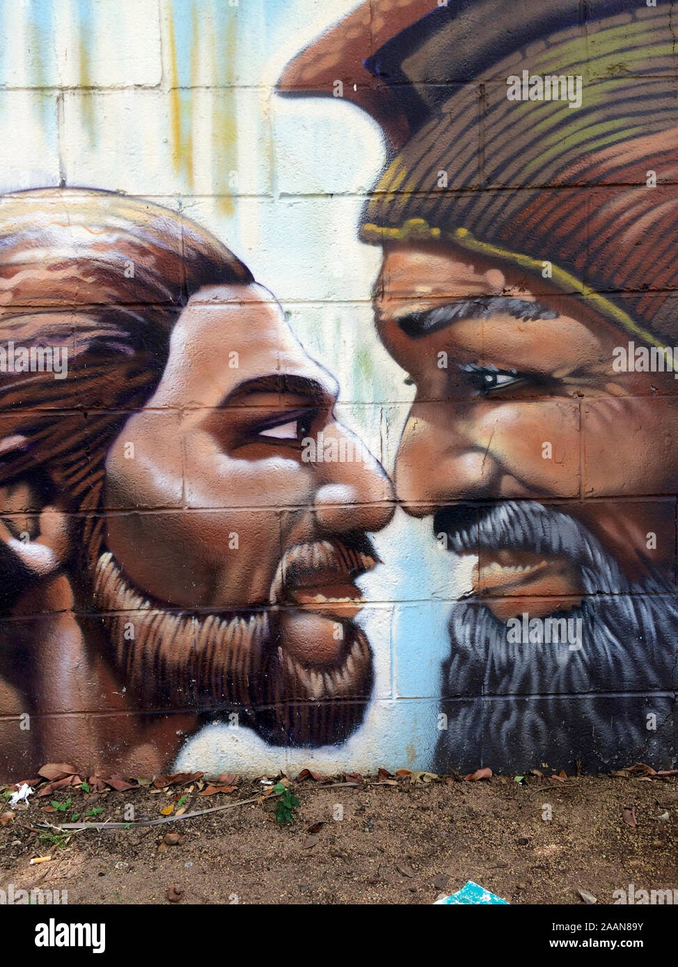 Polynesian settlers hawaii hi-res stock photography and images - Alamy