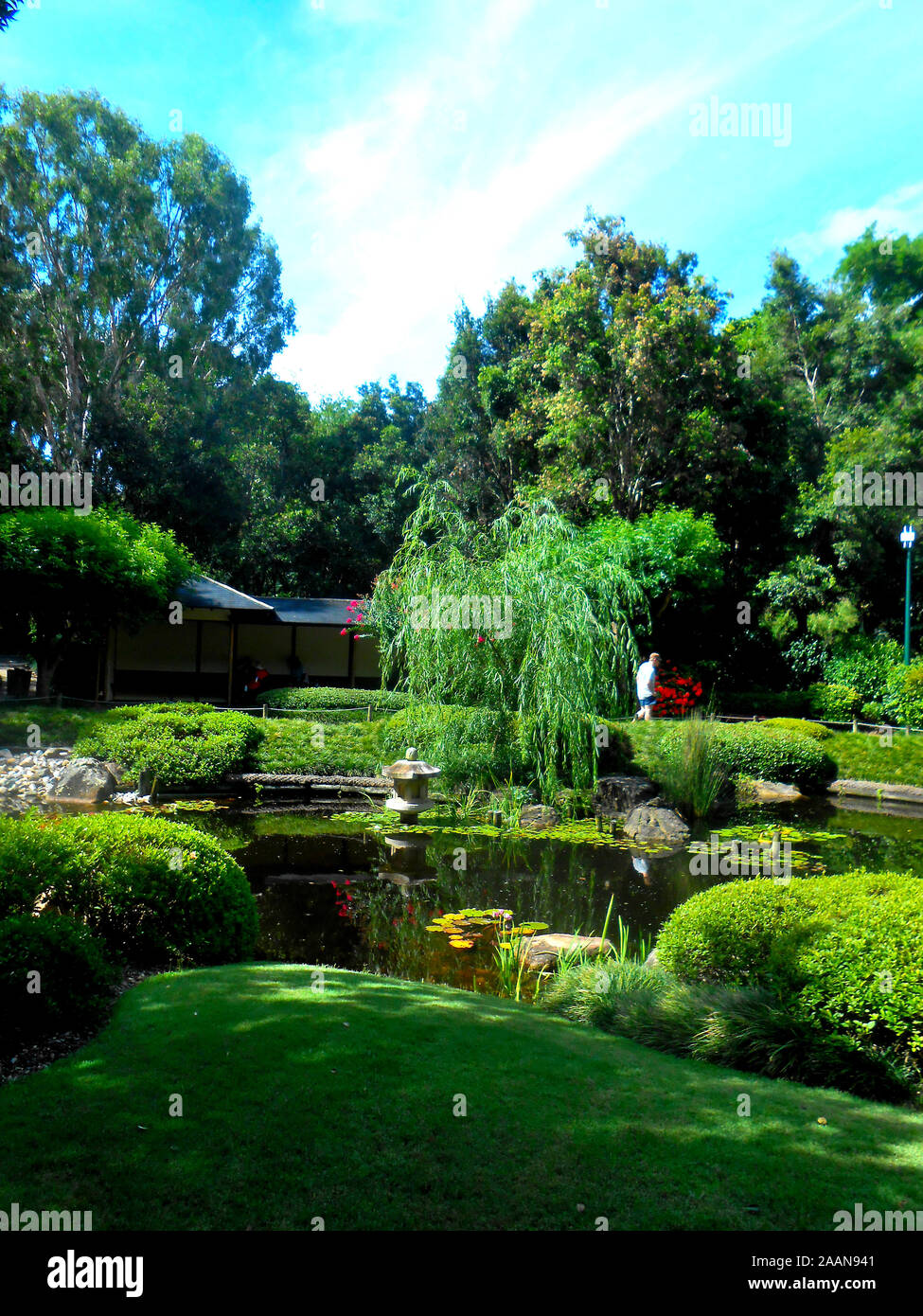 Mount Coo Tha Botanical Gardens Brisbane Queensland Australia Stock ...