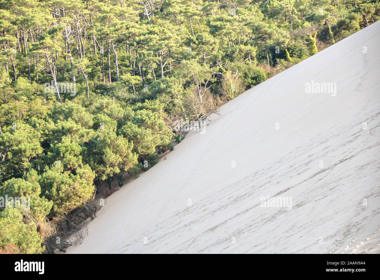 view of the sandy dune of pilat and arcachon basin in france, aquitaine ...