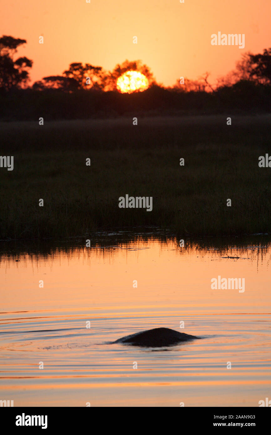 Sunset congo river hi-res stock photography and images - Alamy