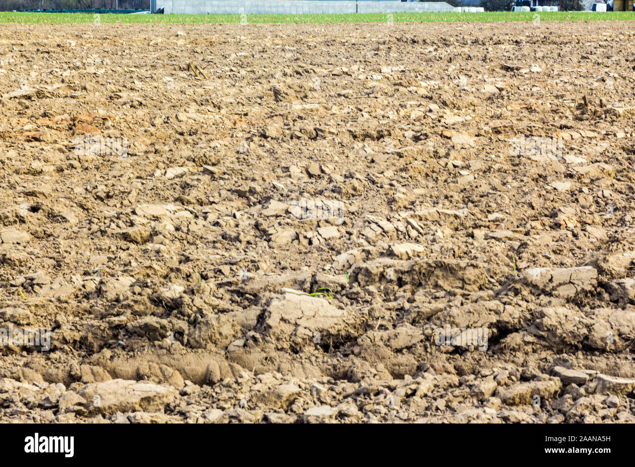 Late autumn. Large plowed field. Close-up. Dairy farm. Podlasie, Poland ...
