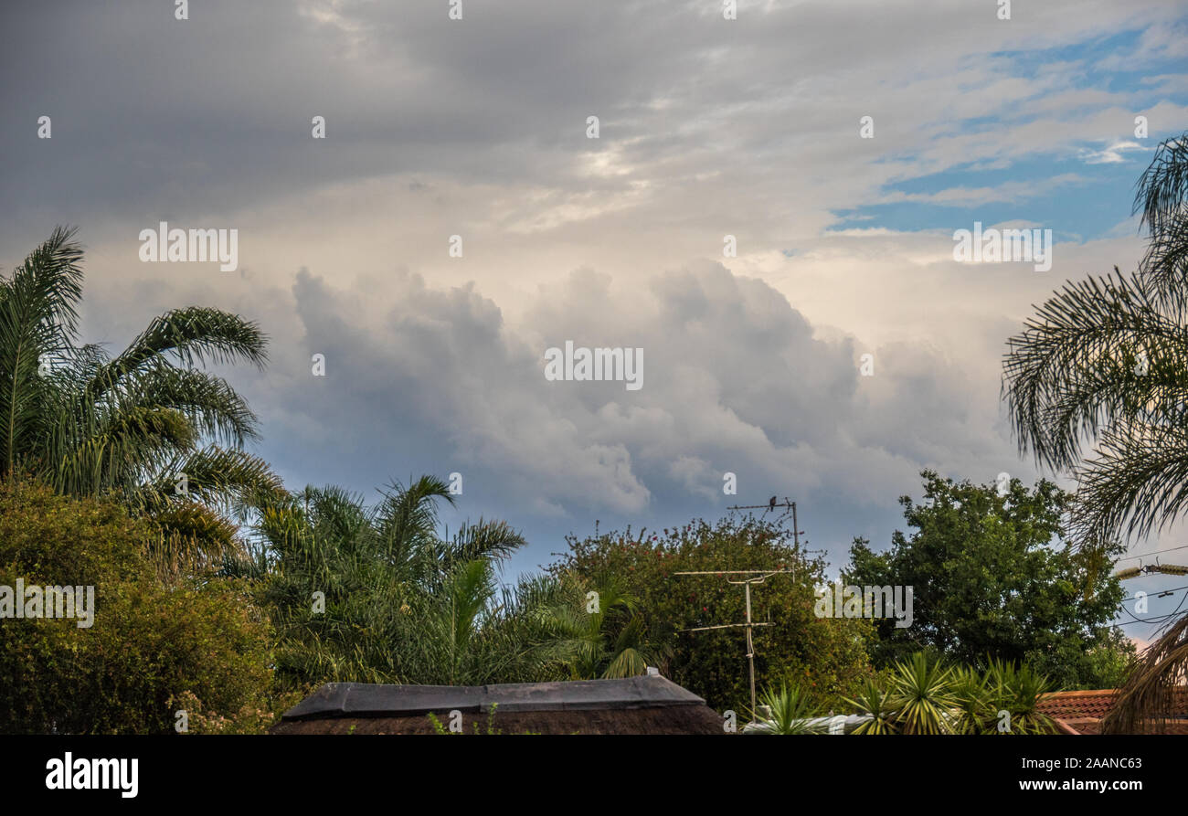 Highveld hi-res stock photography and images - Alamy