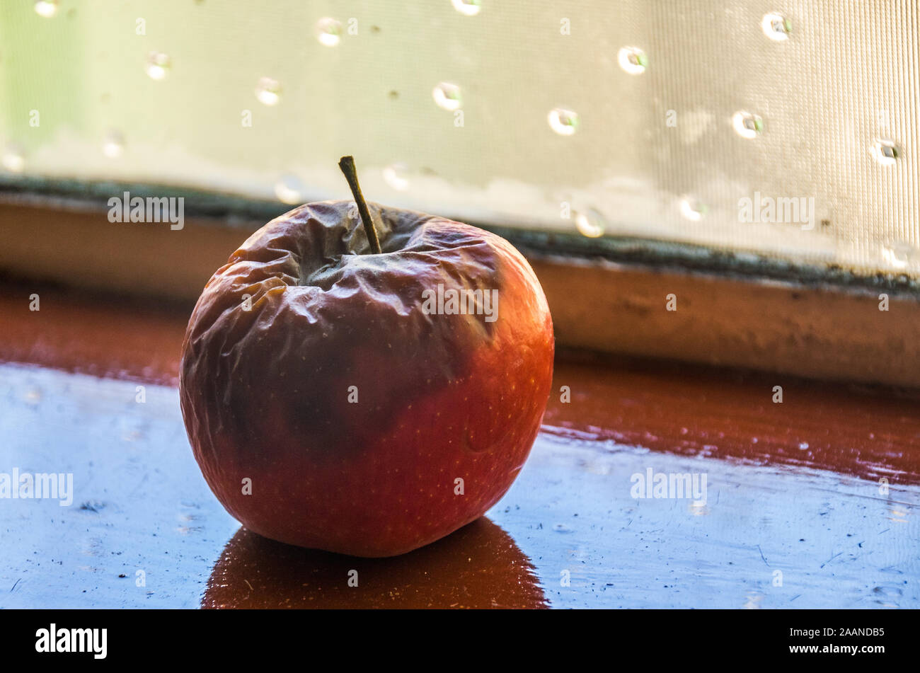 A rotting apple isolated on a grimy window sill image in horizontal ...
