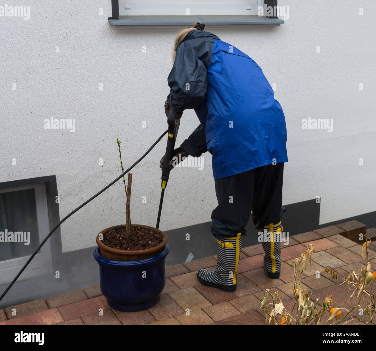 Woman pressure washing garden hi-res stock photography and images - Alamy
