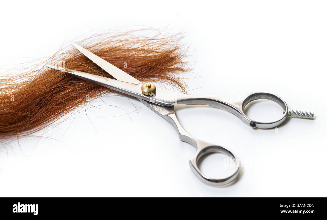 scissors with a lock of hair on a white background Stock Photo - Alamy