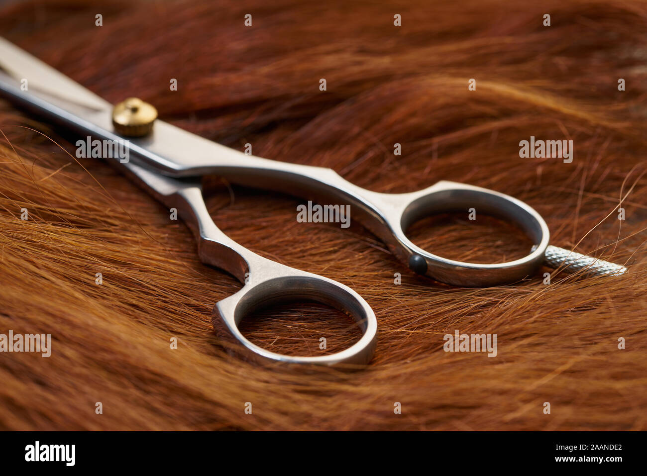 Open hair scissors hi-res stock photography and images - Alamy