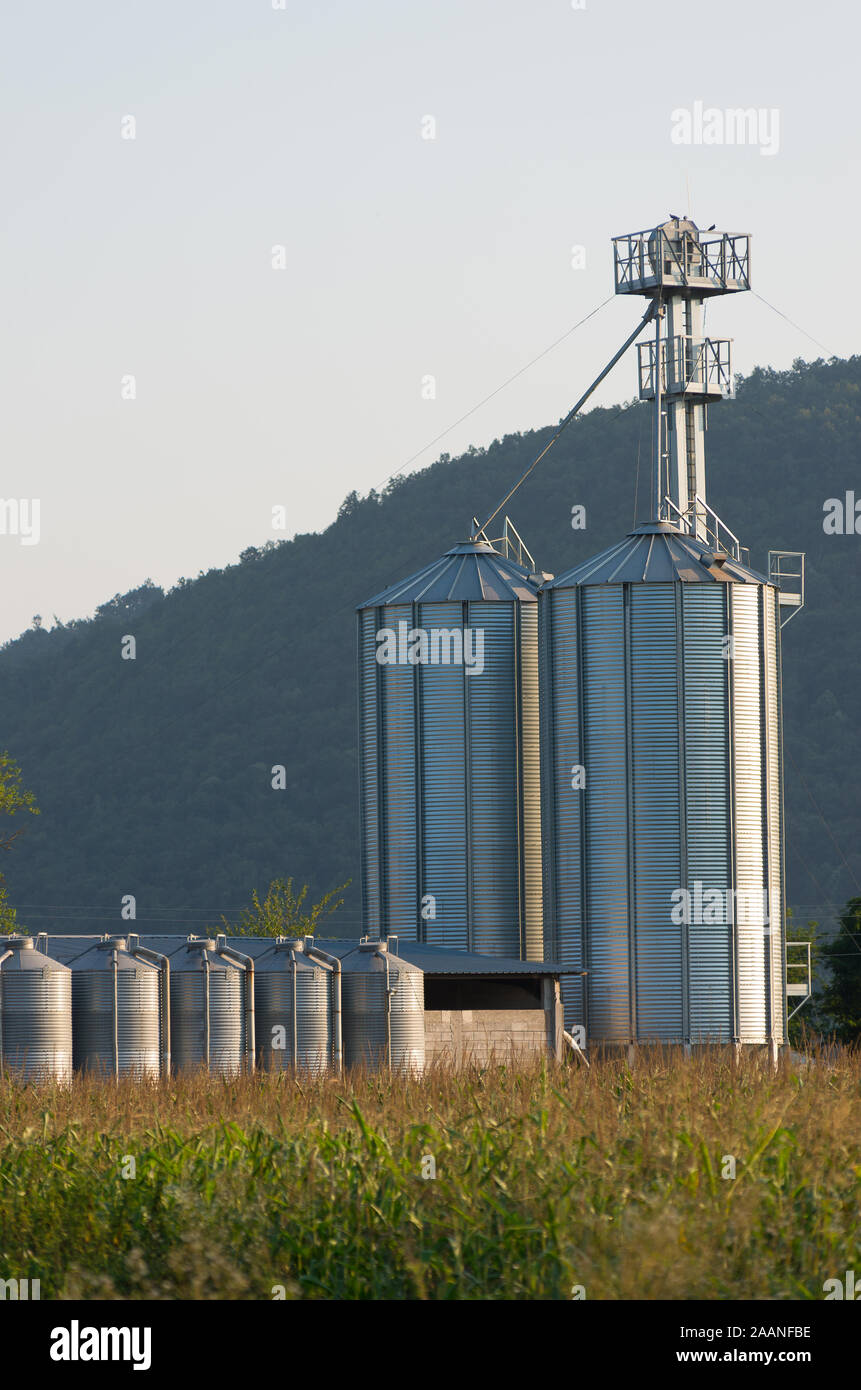 Animal feed manufacturing hi-res stock photography and images - Alamy