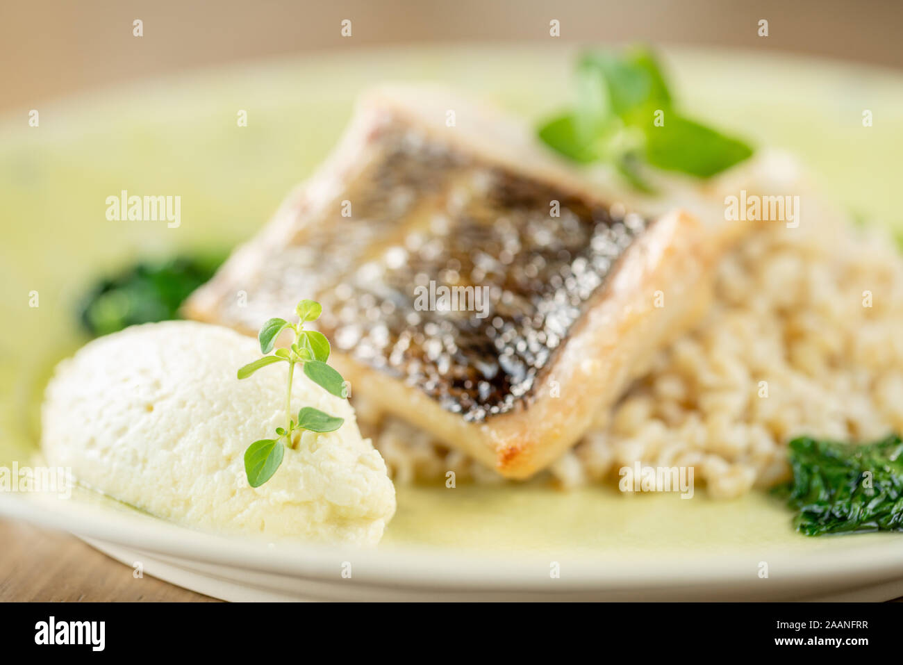 Roasted pike perch or cod fish with bulgur. Dish decorated with a ...