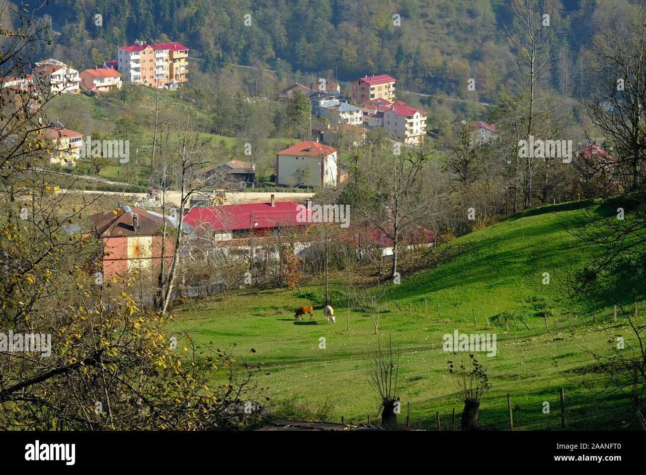 Image of Tonya district of Trabzon province Stock Photo - Alamy
