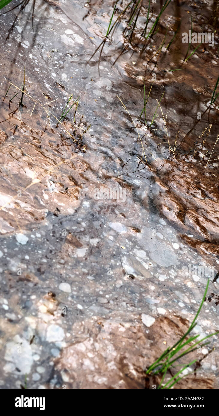 Water pollution, dehydration and stagnation in natural waters. Spring ...
