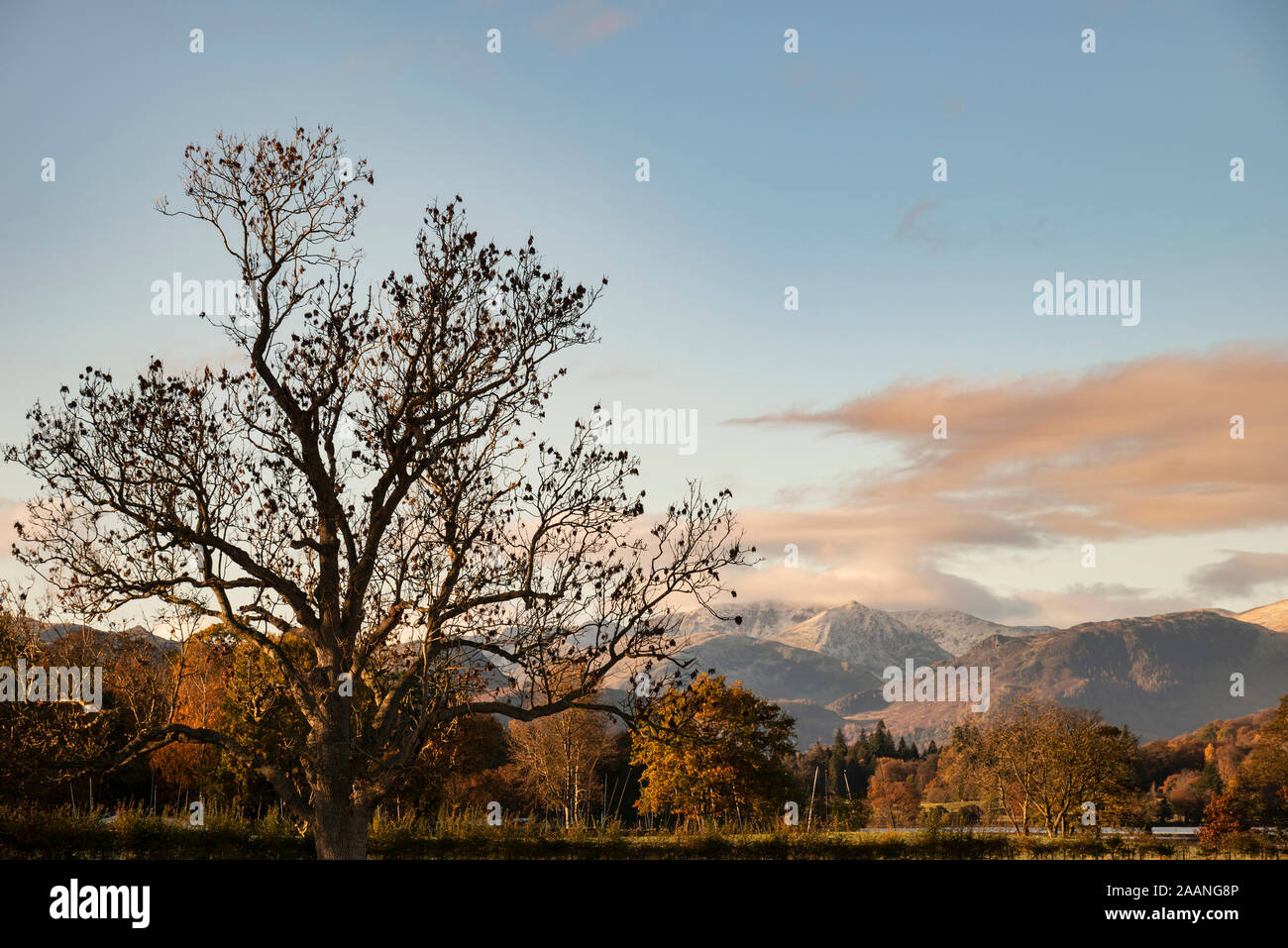 Beautiful Autumn Fall scenery landscape of countryside in Lake District ...