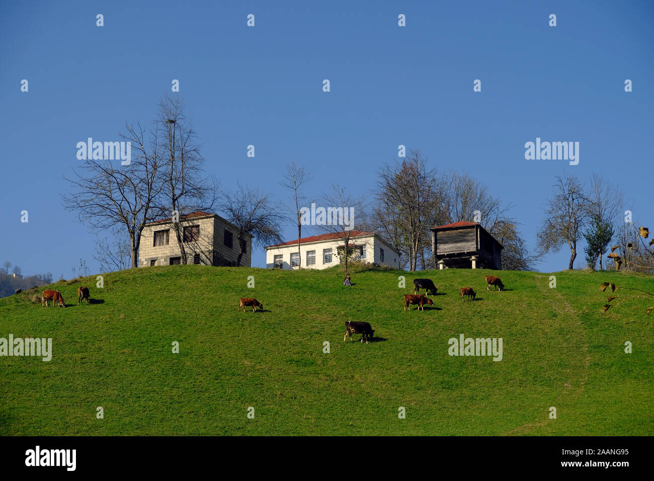 Image of Tonya district of Trabzon province Stock Photo - Alamy