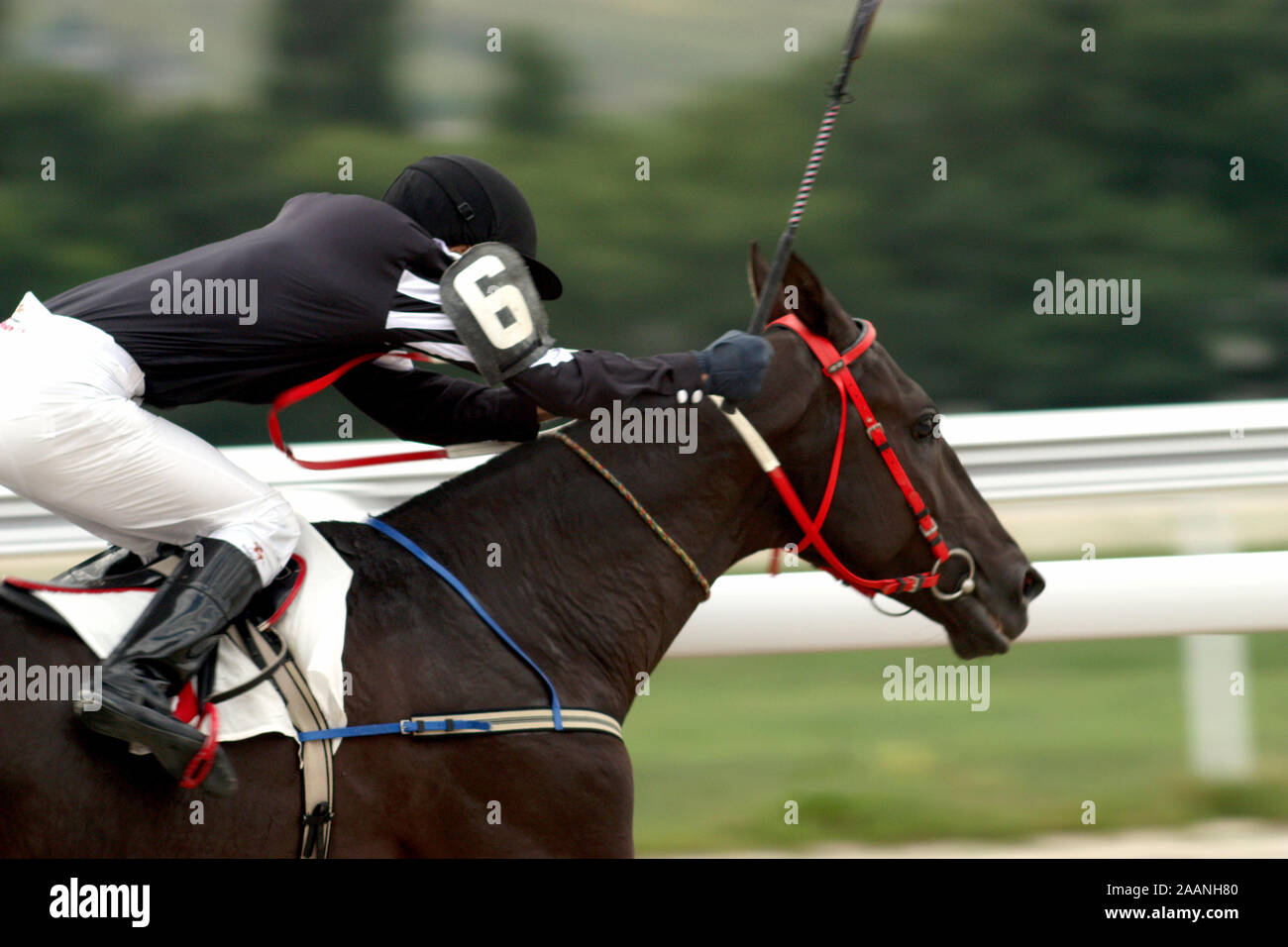 A racehorse and jockey cross the finish line first in a horse race ...