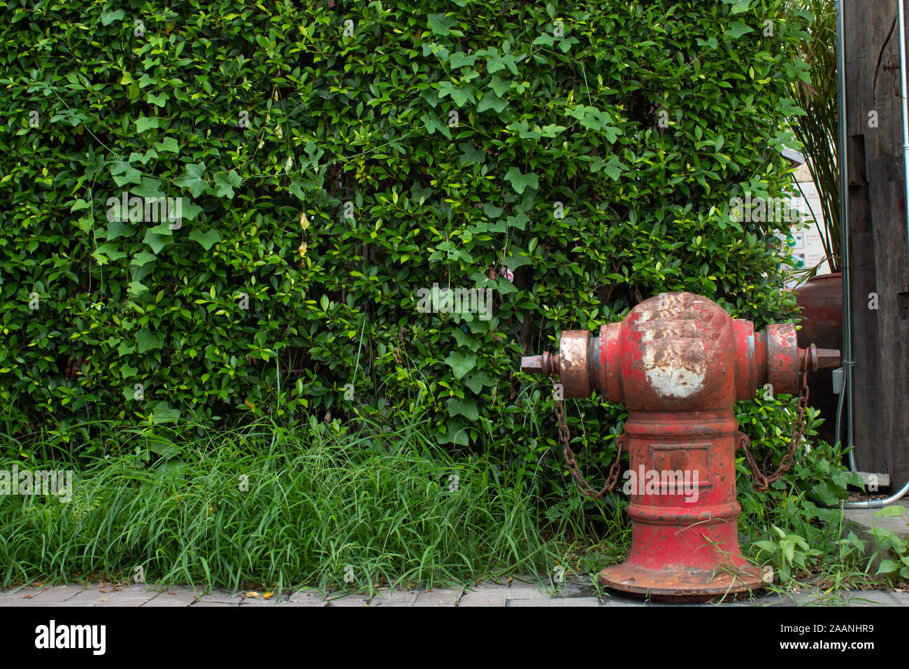 Fire fighting water supply hose Red Stock Photo - Alamy